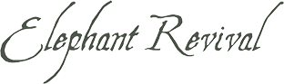Elephant Revival Store